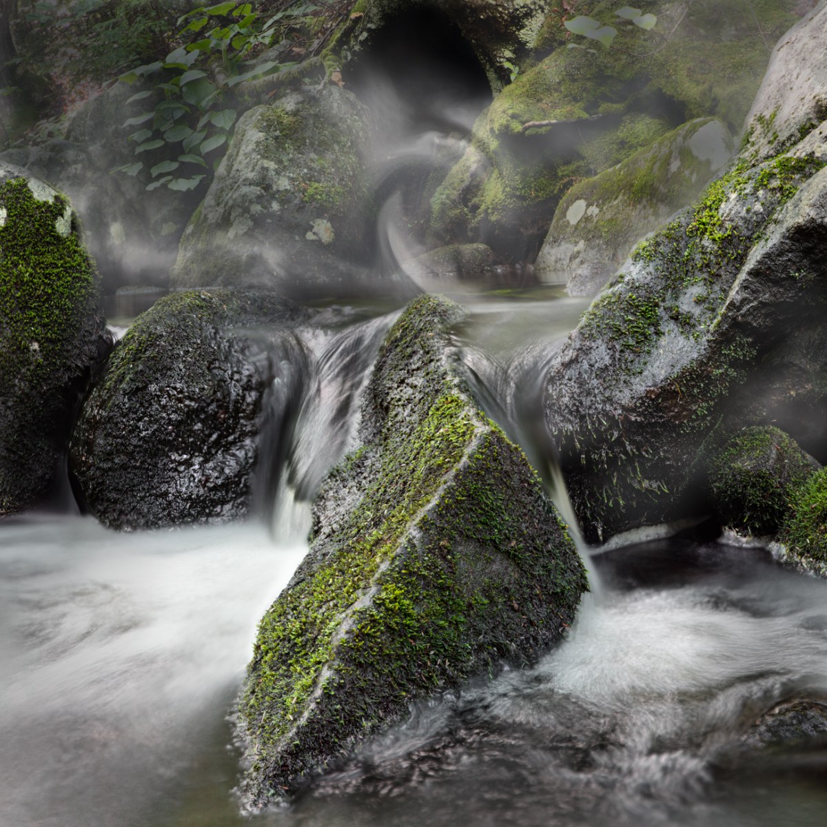 Richard Alan Cohen – NO MIDDLEMAN ART GALLERY Edge of Humanity Magazine