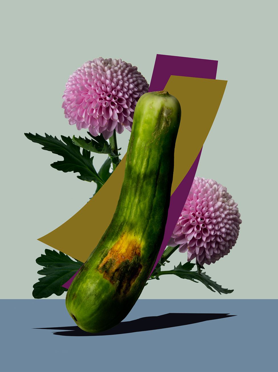 Shinya Masuda – NO MIDDLEMAN ART GALLERY Edge of Humanity Magazine