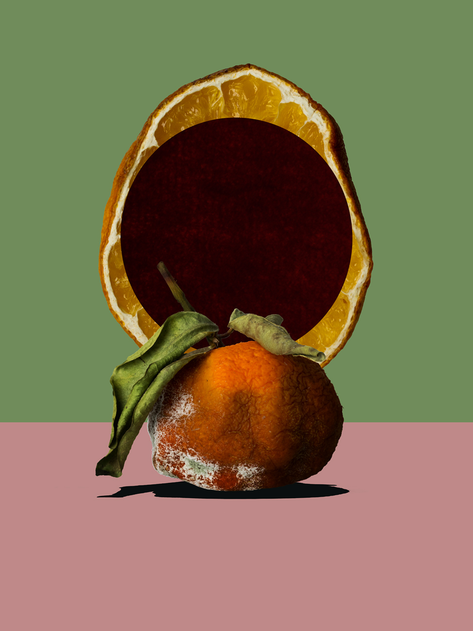 Shinya Masuda – NO MIDDLEMAN ART GALLERY Edge of Humanity Magazine