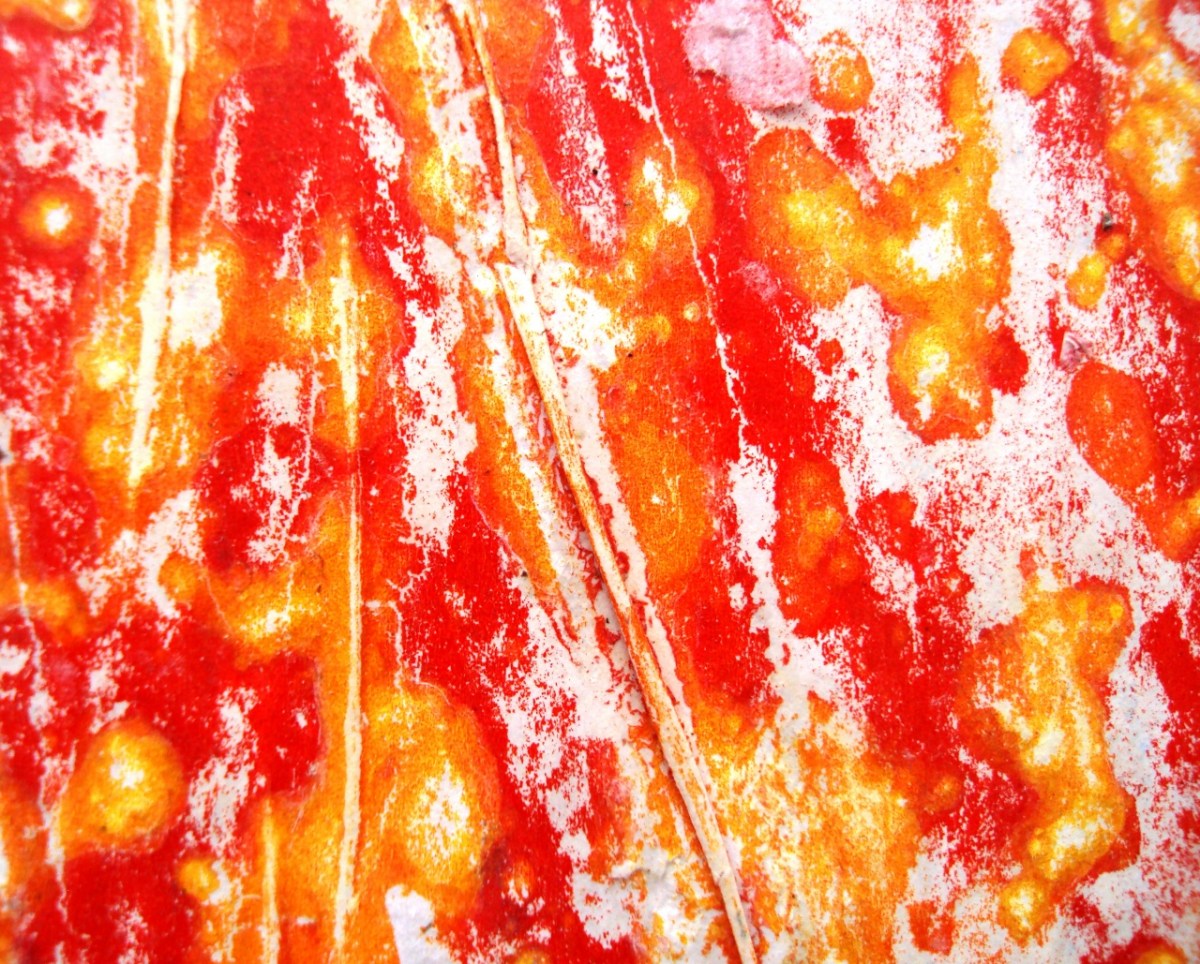 Macro Photography | Roberto Alborghetti – NO MIDDLEMAN ART GALLERY Edge ...